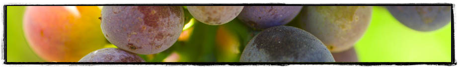 Cayuse Vineyards – Wines We Create